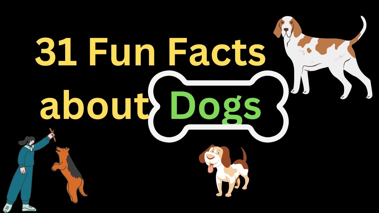 31 Fun Facts About Dogs | Fascinating Facts About Dogs - YouTube