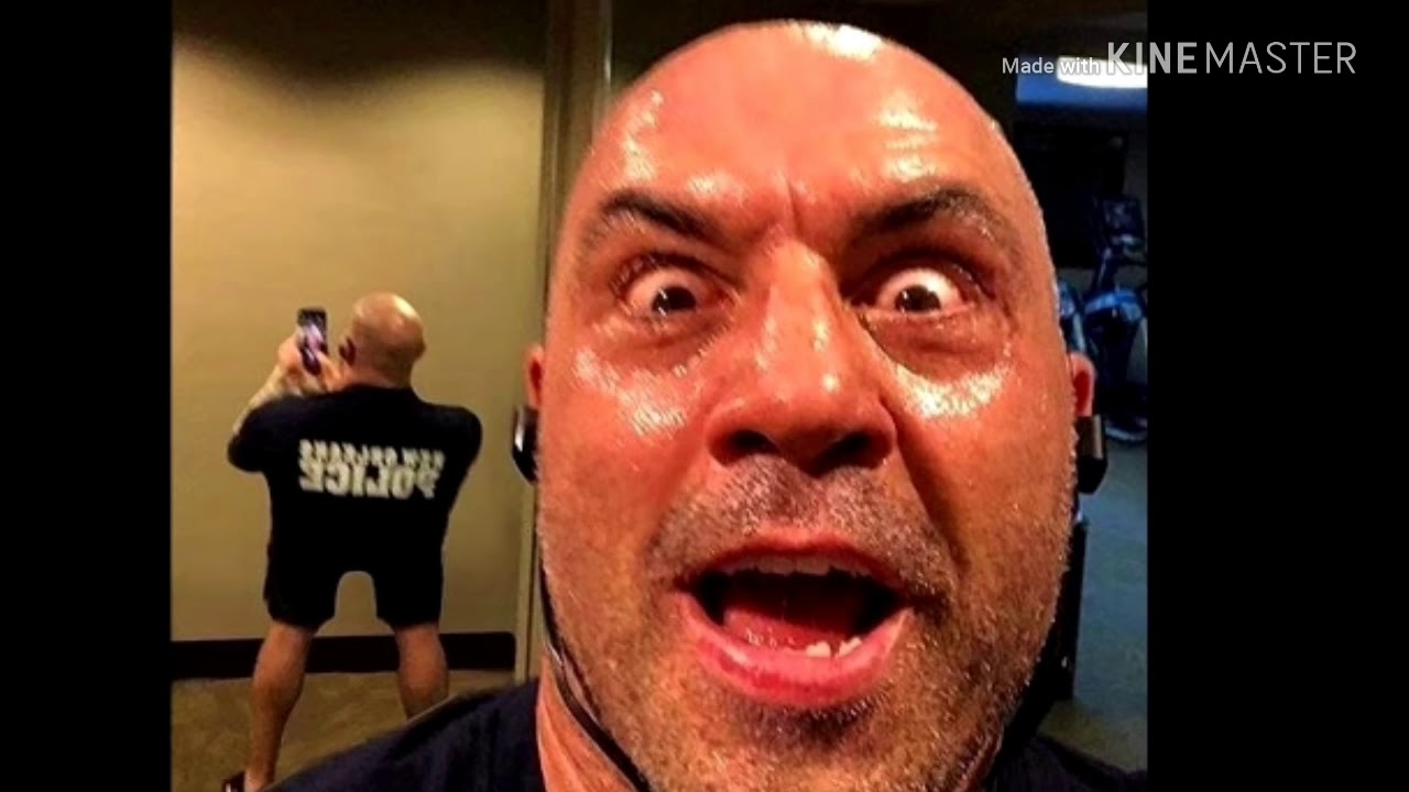 bonfire meme mashup but its a dead meme, its pg, family friendly, clean ...