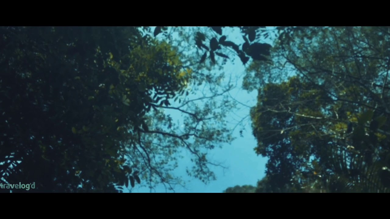 Arippa Tourist Village - A Glimpse to Mother Nature! - YouTube