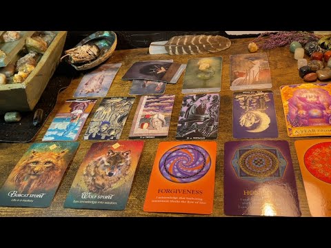 LEO ♌️ “BOBCAT SPIRIT!” NEXT 48HRS READING , NOVEMBER 2022, TAROT ...