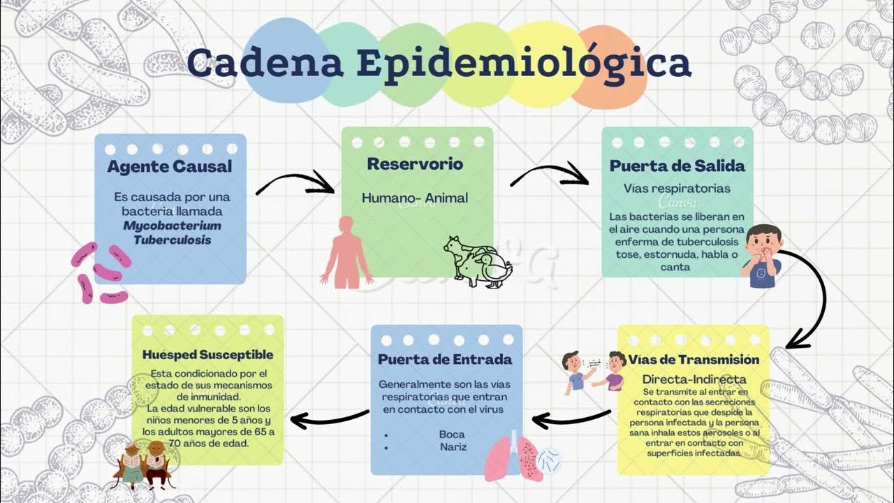 CADENA EPIDEMIOLOGICA TUBERCULOSIS - YouTube