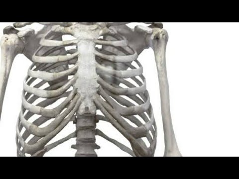How my Short leg & two Ribs grow! - YouTube
