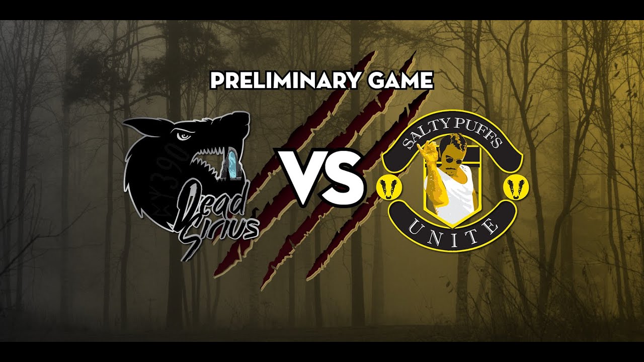 Dead Sirius vs Saltypuffs Unite (Virtual Quidditch League) - YouTube