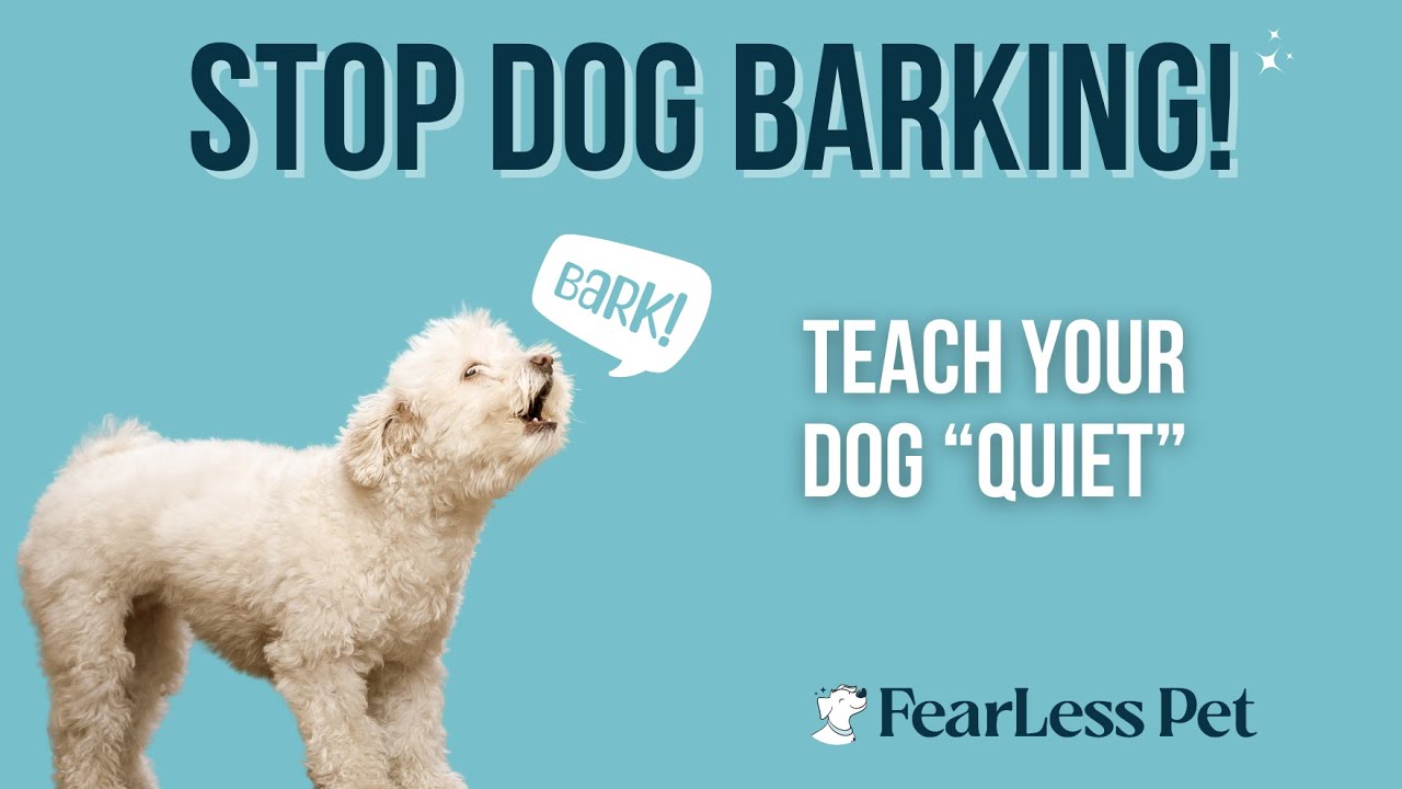 Teach Your Dog To Stop Barking "Quiet" - YouTube