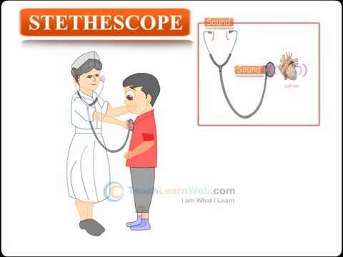 CBSE Science class 9 demo SOUND REFLECTION OF SOUND - YouTube