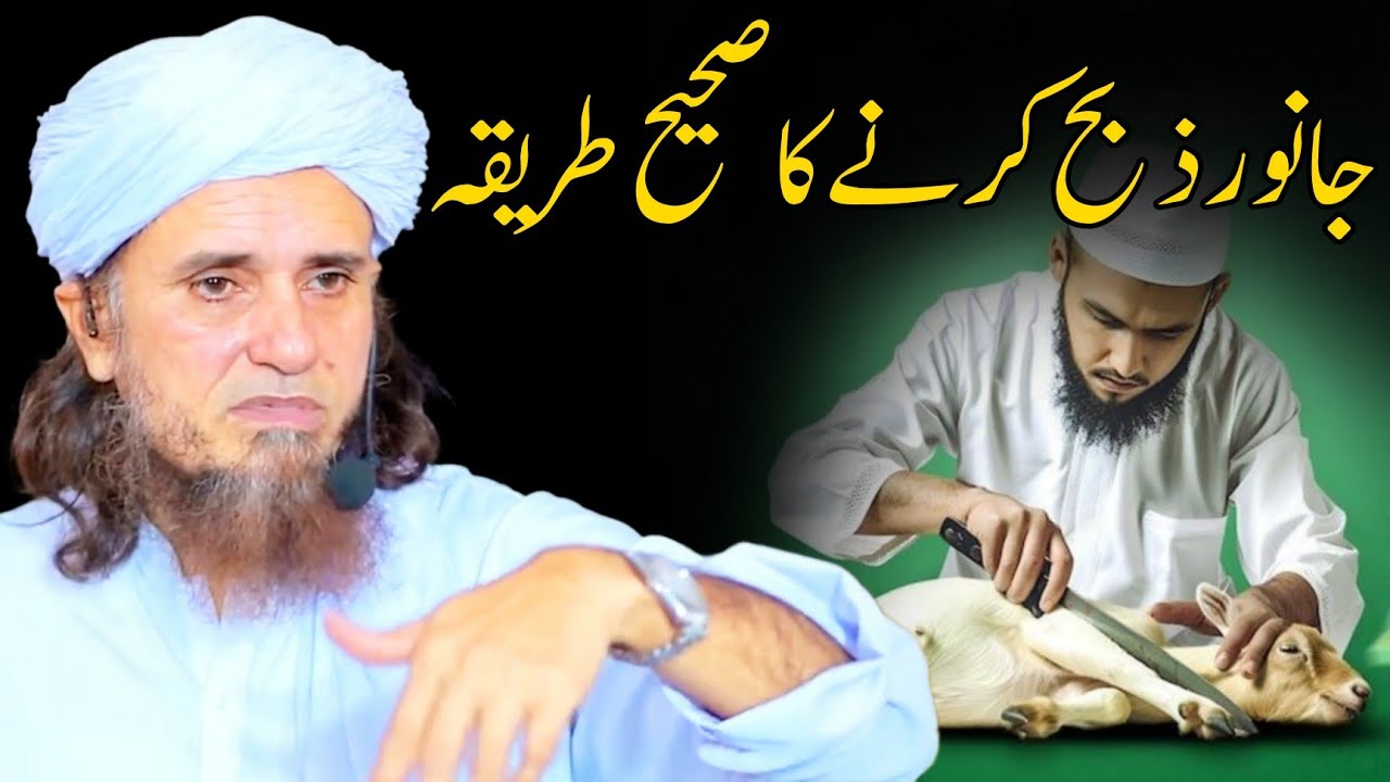 Janwar Zibah Karne Ka Sahi Tareeqa | Mufti Tariq Masood | Islamic ...