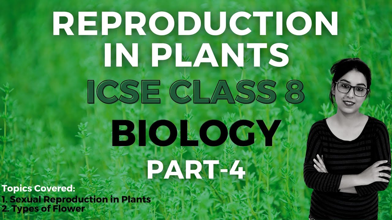 Reproduction in Plants 🌱 | ICSE CLASS 8 Biology | Part - 4 - YouTube