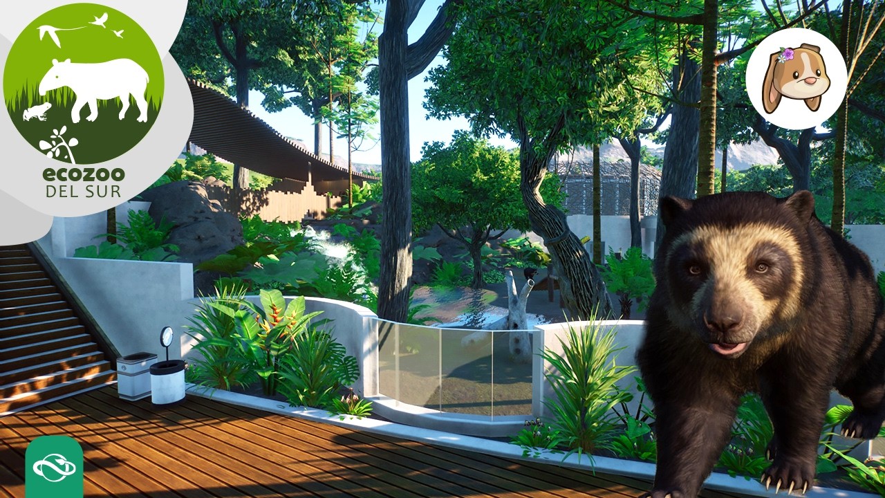 Oso de Anteojos 🐻 en el Ecozoo Del Sur🌿 | Planet Zoo en Español | Speed ...