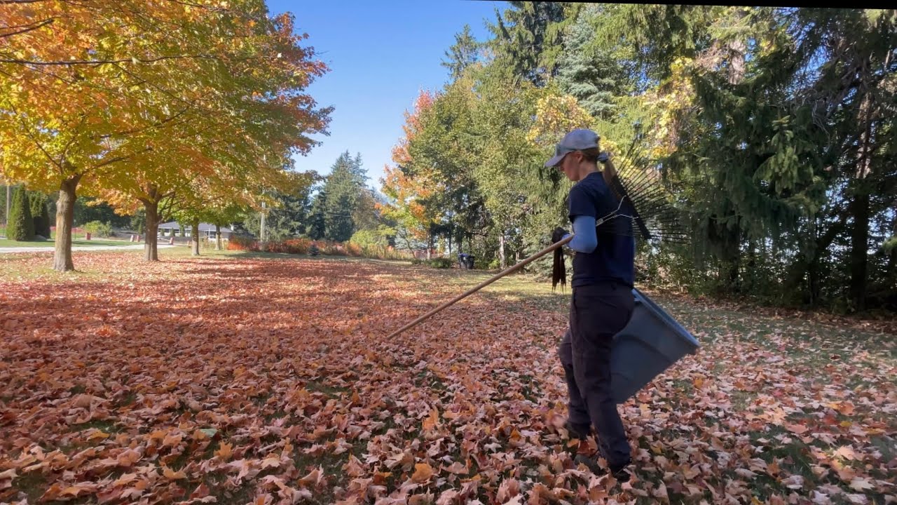 MY TOP 3 METHODS for LEAF CLEANUPS - YouTube
