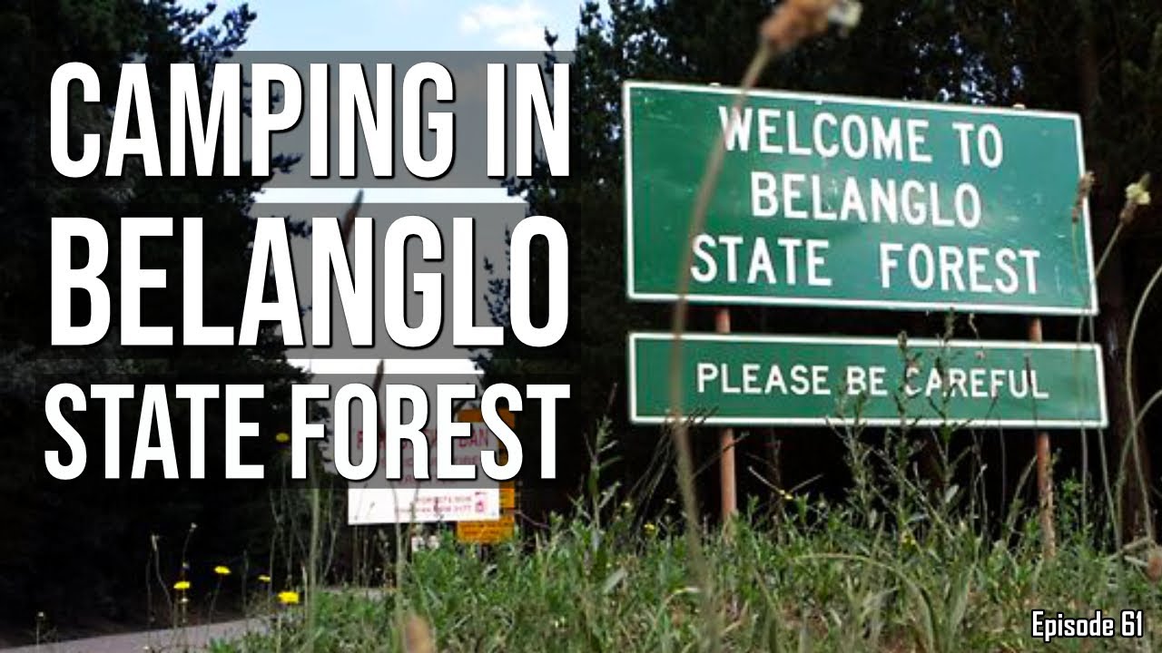 Camping in Belanglo State Forest // Bike Touring Australia Ep. 61 - YouTube