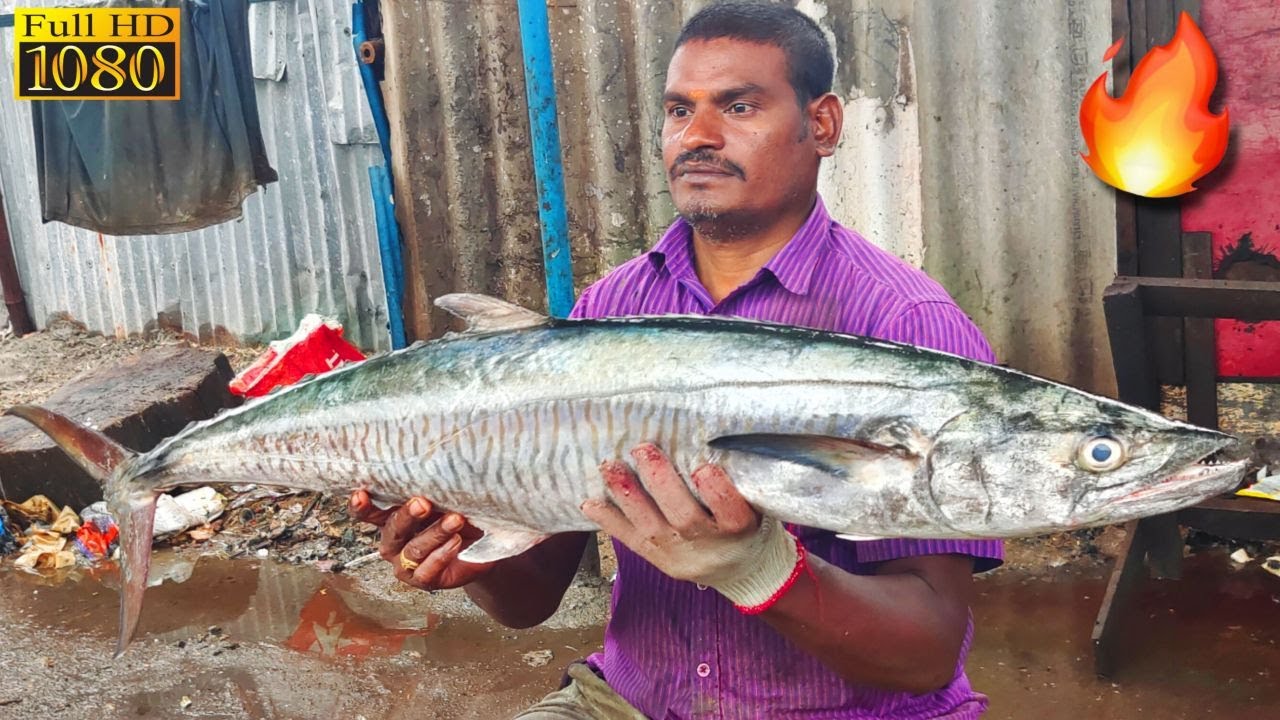 KASIMEDU 🔥FISH CUTTING | 10KG VANJARAM FISH CUTTING🐟 | FISH CUTTING ...
