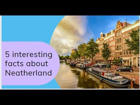 5 Interesting facts of Netherlands #indvsnetherland #t20worldcup2022 ...