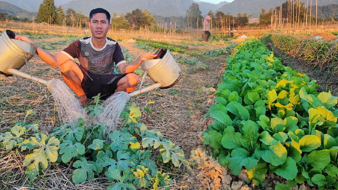 mus pab kuv tus poj niam ua dib liab dib zoo tshaj li - YouTube