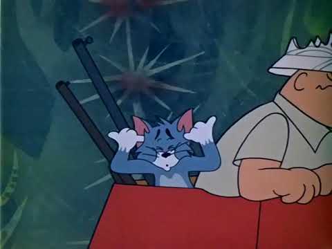 125   Sorry Safari 1962