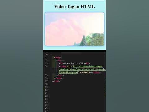 How to add Video on web pages? | how to prevent the video from being ...
