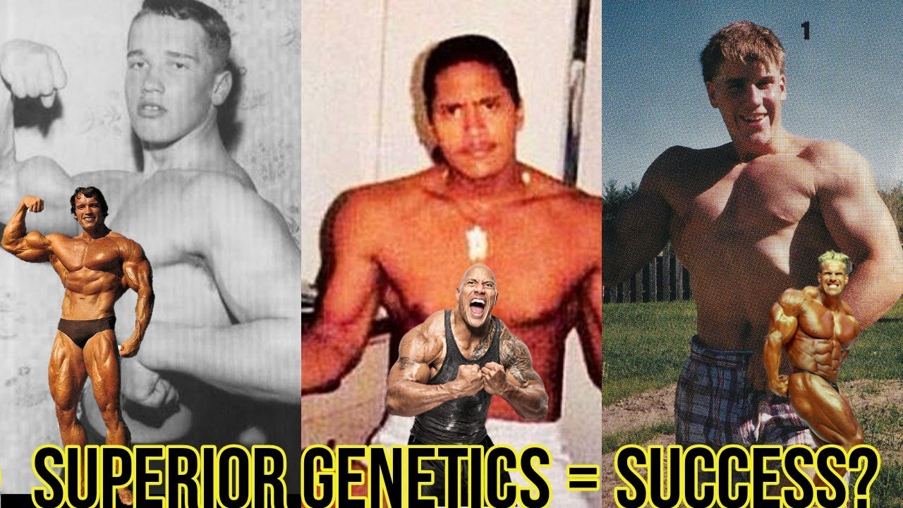 Do you have good genetics? | The basics - YouTube