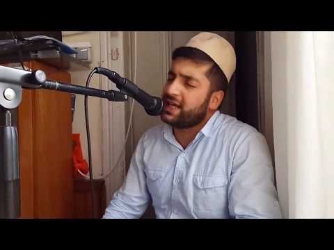 MUHAMMED SALİH OKUYAN - MECNUNUN OLMUŞUM YA RESULALLAH  ( Müziksiz ilahi )🌹🌹