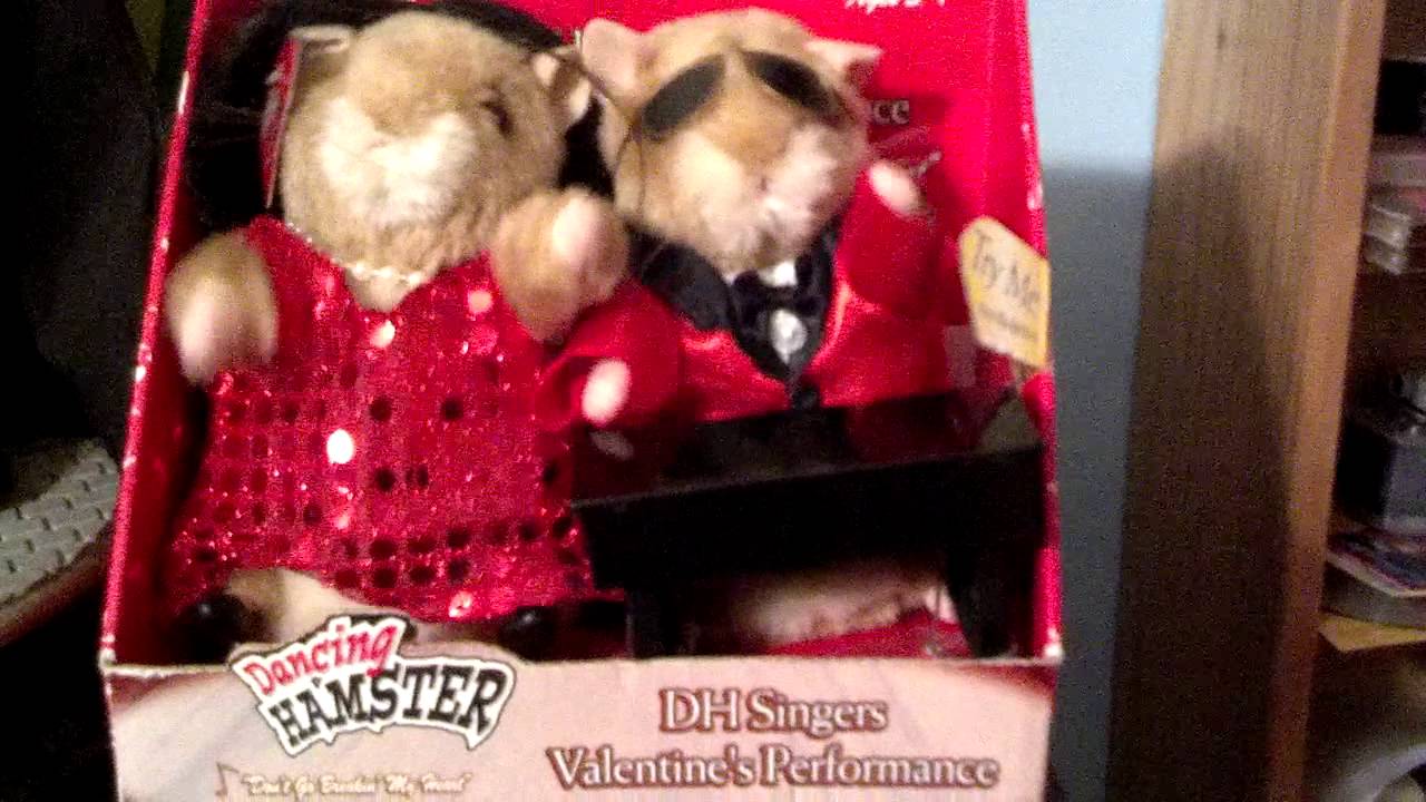 Gemmy Dancing Hamsters: DH Valentine Singers - YouTube