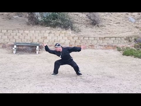 Chuo Jiao- Zhan chi lian huan yuan yang jiao 展翅连环 鸳鸯脚 - YouTube