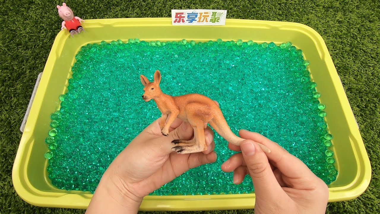 Learn Knowledge With Toys -Kangaroo- Kids Leraning Park - YouTube