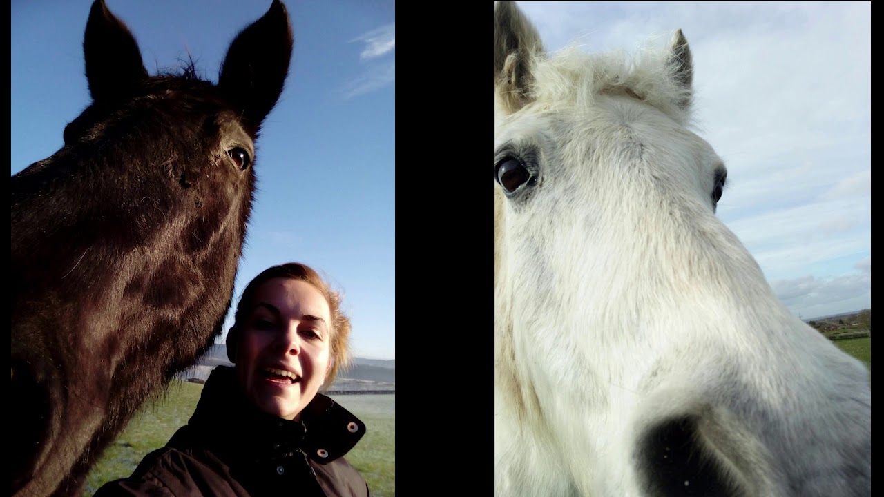 Americamp Application Video 2018 Jessica Timlin - YouTube