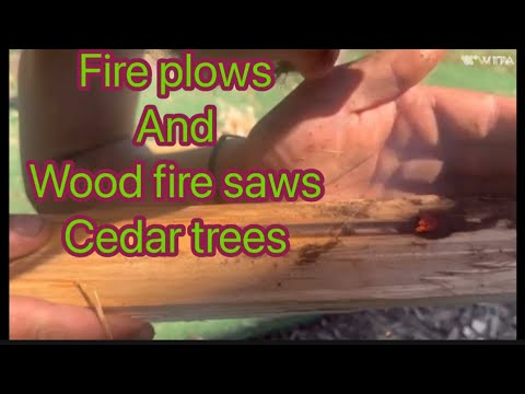 Cedar wood fire saw Fire by rubbing cedar trees - YouTube