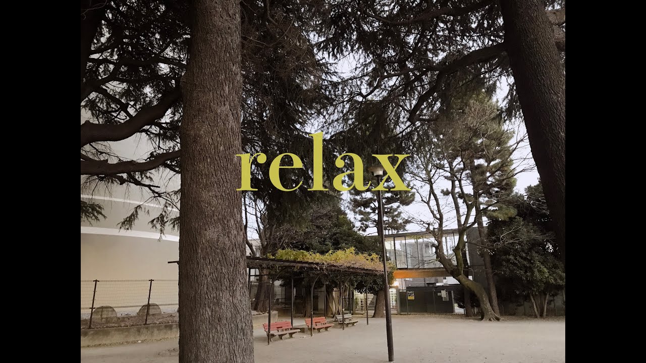 【10 hours relax】 Tree music / bird ambient / electric drone music - YouTube