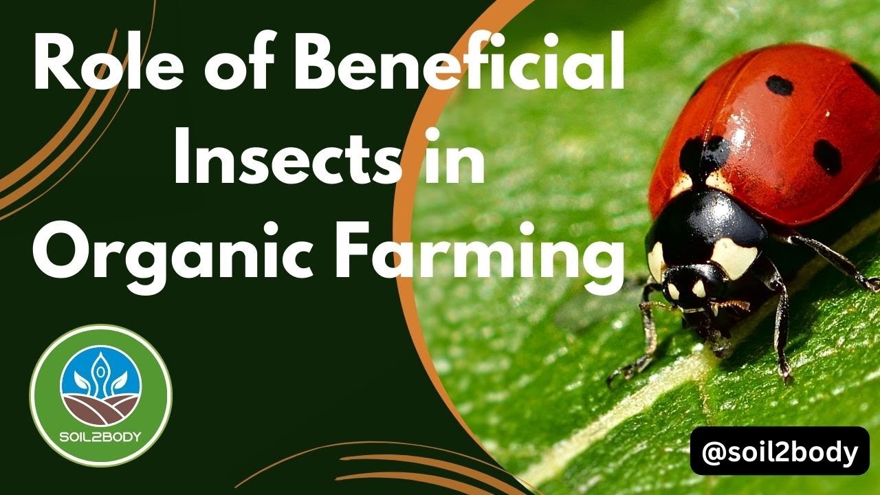 Role of Beneficial Insects in Organic Farming | Organic Crop Management ...