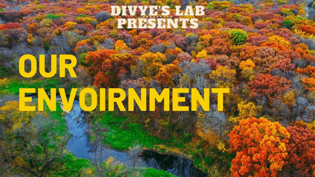 OUR ENVIRONMENT: AN ESSENTIAL SHORT DOCUMENTRY - YouTube