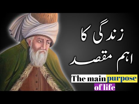 The main purpose of life |Rumi Best Quotes | Quotes in Urdu | QH Hubs ...