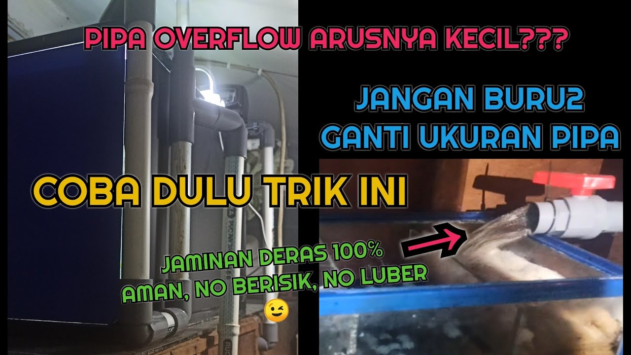 SET UP AQUARIUM SUMP FILTER PAKAI PIPA OVERFLOW - YouTube