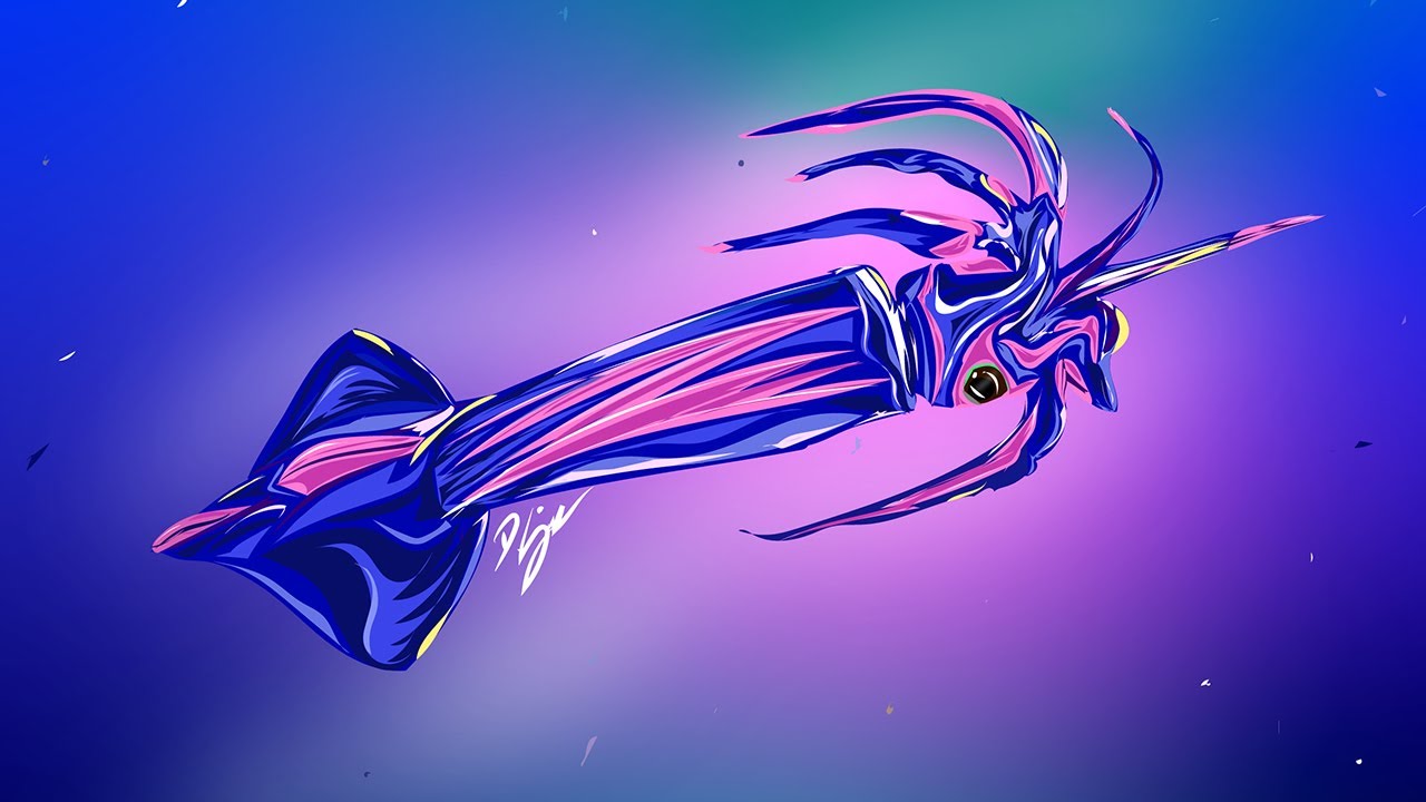 Arrow Squid Reveal 🦑 Vector Illustration - YouTube