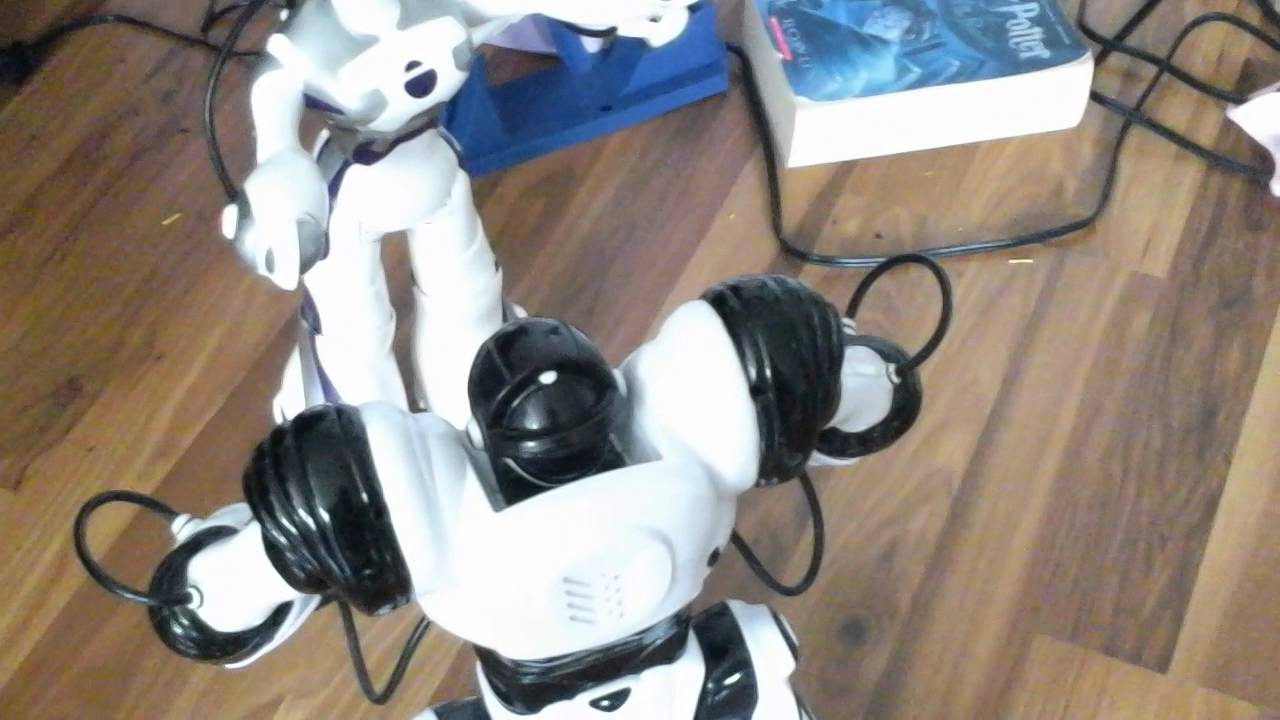 Robosapien and Femisapien interacting - YouTube