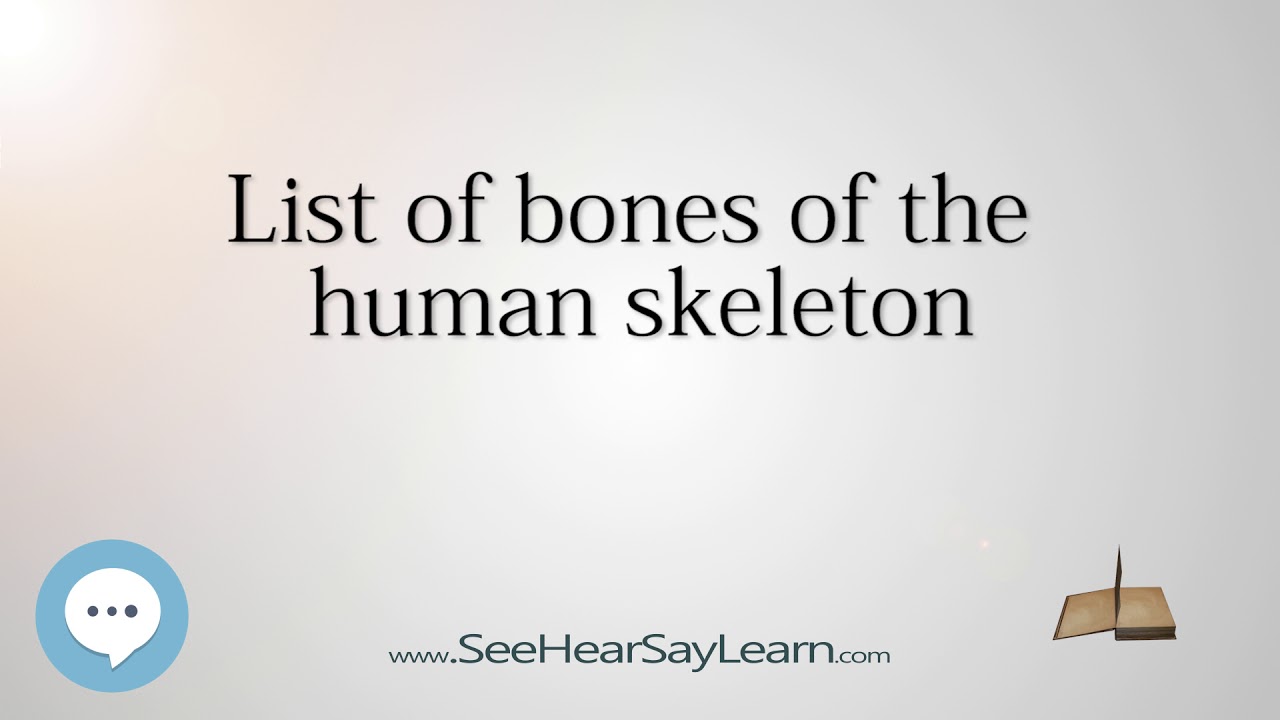 List of bones of the human skeleton (Everything Human BONES) 💬🤸💊📚🏫💪🏋️🔷 ...