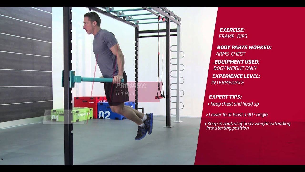 Fitness First Freestyle exercise - Frame Dips - Bodyweight - YouTube