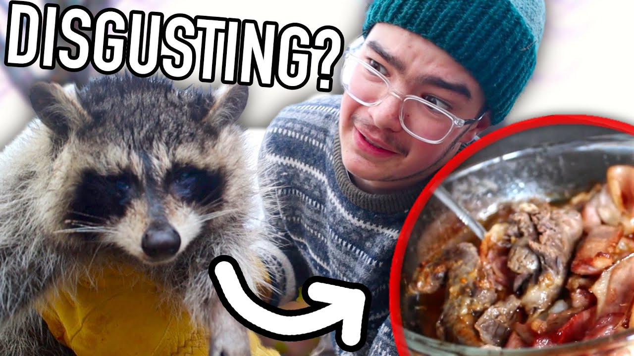 WILD RACCOON Catch Clean Cook! (Disgusting or Delicious?) - YouTube