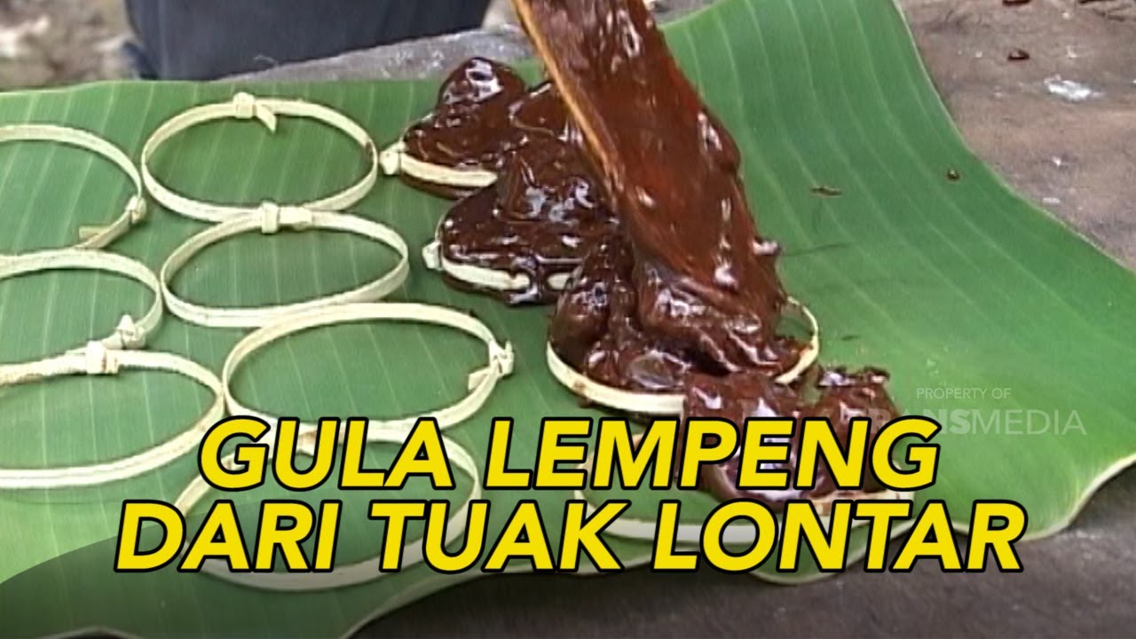 Tuak Diolah Jadi Gula Lempeng? Apa Ya Gula Lempeng Itu? | JELANG SIANG ...