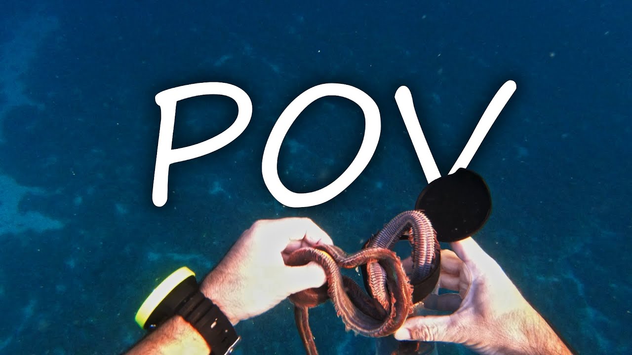 Catching a Bobbit Worm | POV - YouTube