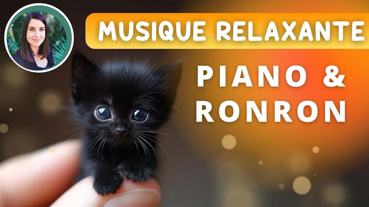 👉Ma Pause Zen : Ronrons sous la pluie - YouTube