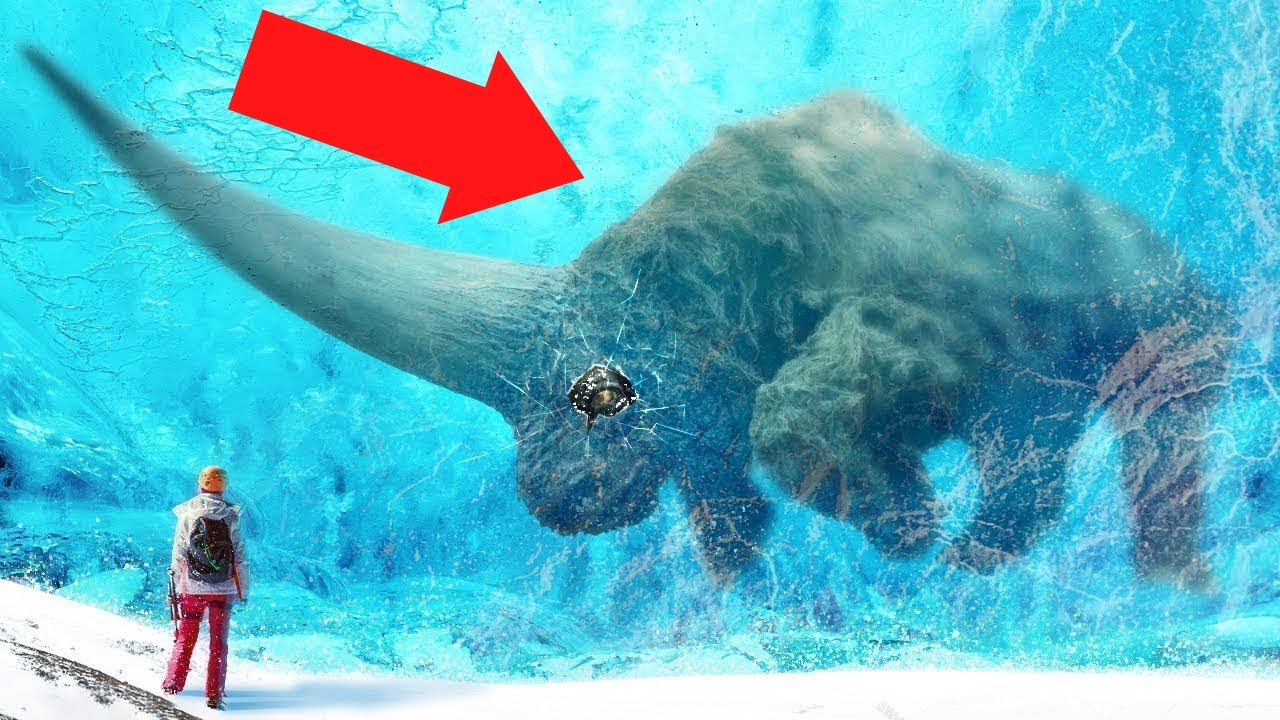 Our Most Dangerous prehistoric Animals whose generation became extinct ...