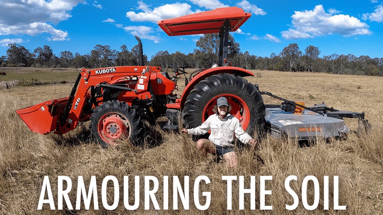 BENEFITS OF SLASHING LEFT OVER WINTER STANDING PASTURE!! - YouTube
