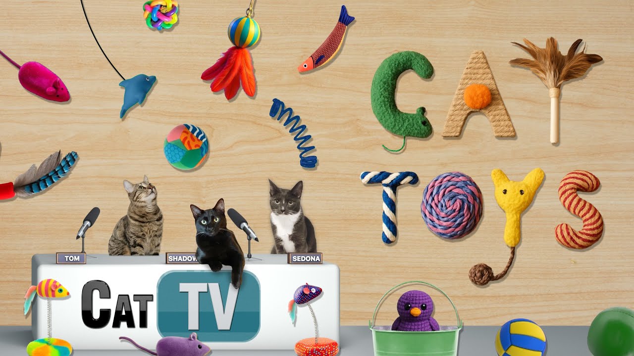 CAT Games | Ultimate Cat Toy Compilation Vol 8 🧸🏐🪁 | 50 Games in 1 | 8 ...