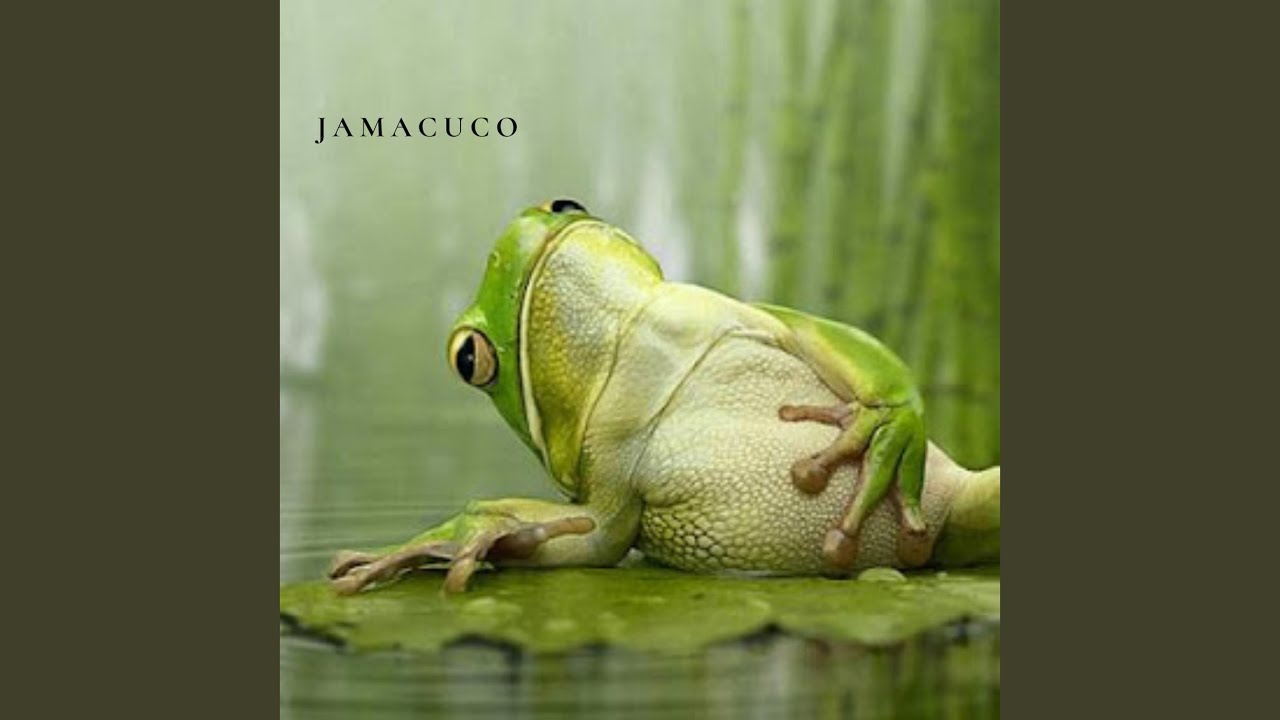 Jamacuco - YouTube