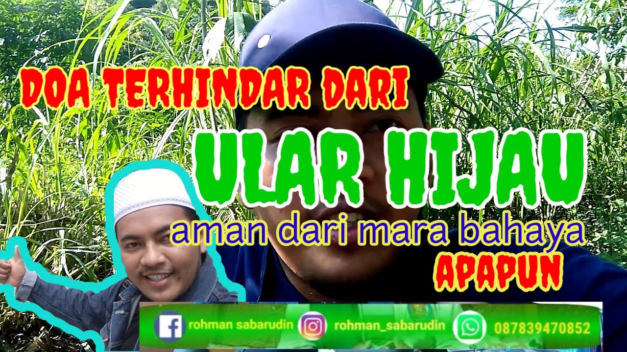 DOA TERHINDAR DARI ULAR HIJAU ||Binatang pengganggu dan Aman dari mara ...