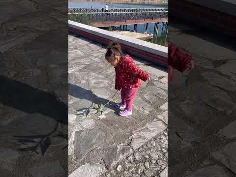 Cute🌸 #explore #youtube #funny #instagood #sultanfayzo #العراق #tiktok #trending #india #shots