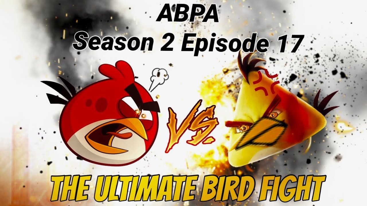 ABPA S2 E17: The ULTIMATE Bird FIGHT 💢⚡️💥😈👺 - YouTube