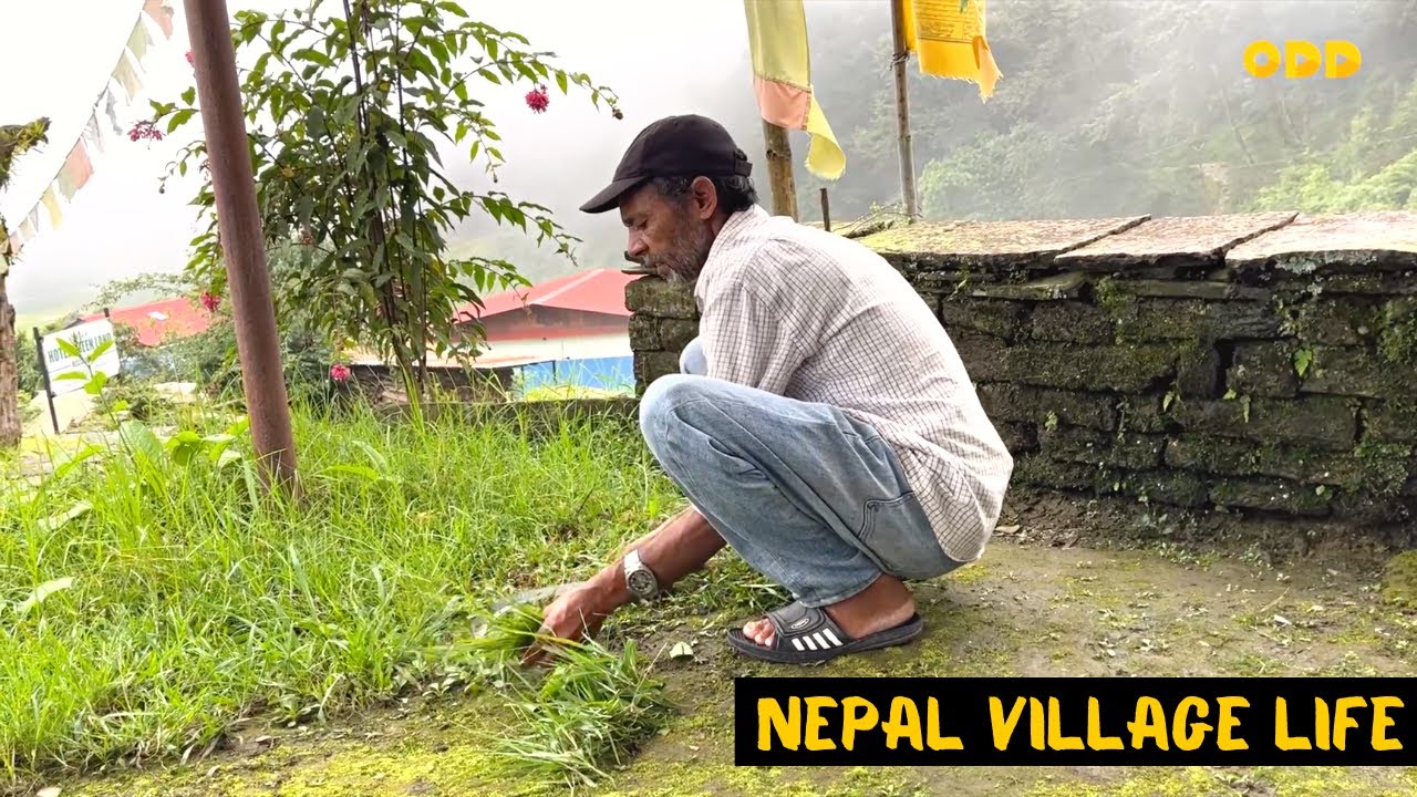 Dhampus Village Life | Nepal tour | DIGITALODD - YouTube
