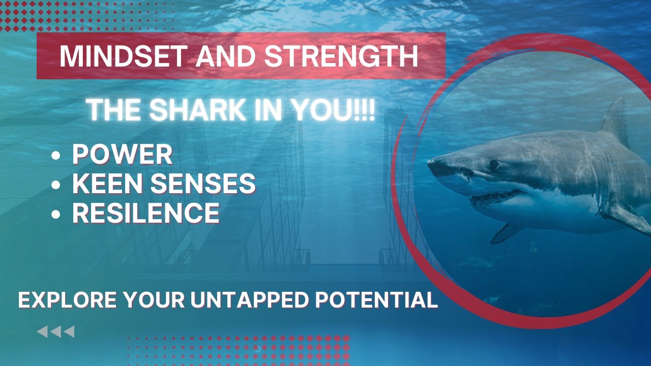 Shark Mindset and Strength - YouTube