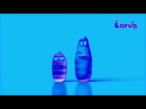 Chorded Larva Intro 2013 - YouTube