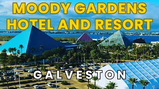 Moody Gardens Hotel and Resort Galveston Texas Full Tour